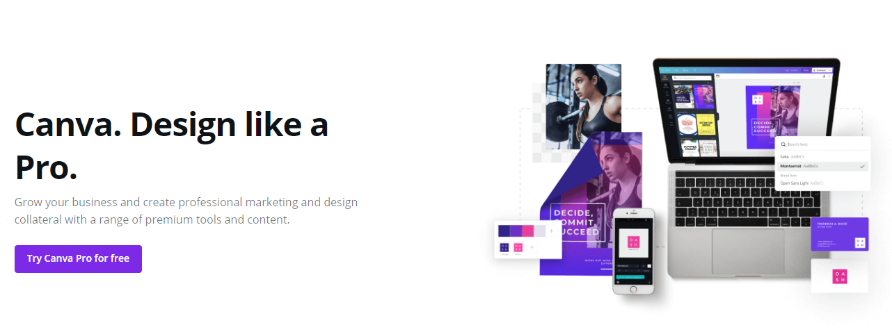 Choose the best hosting for your business